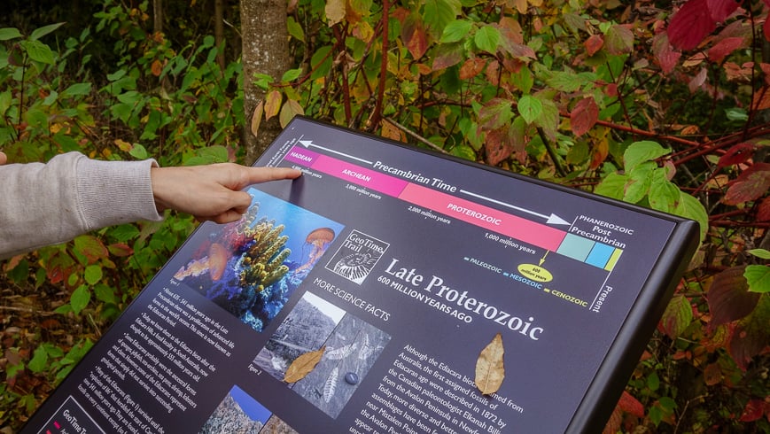 5 Walking Trails You Have to Try In Waterloo